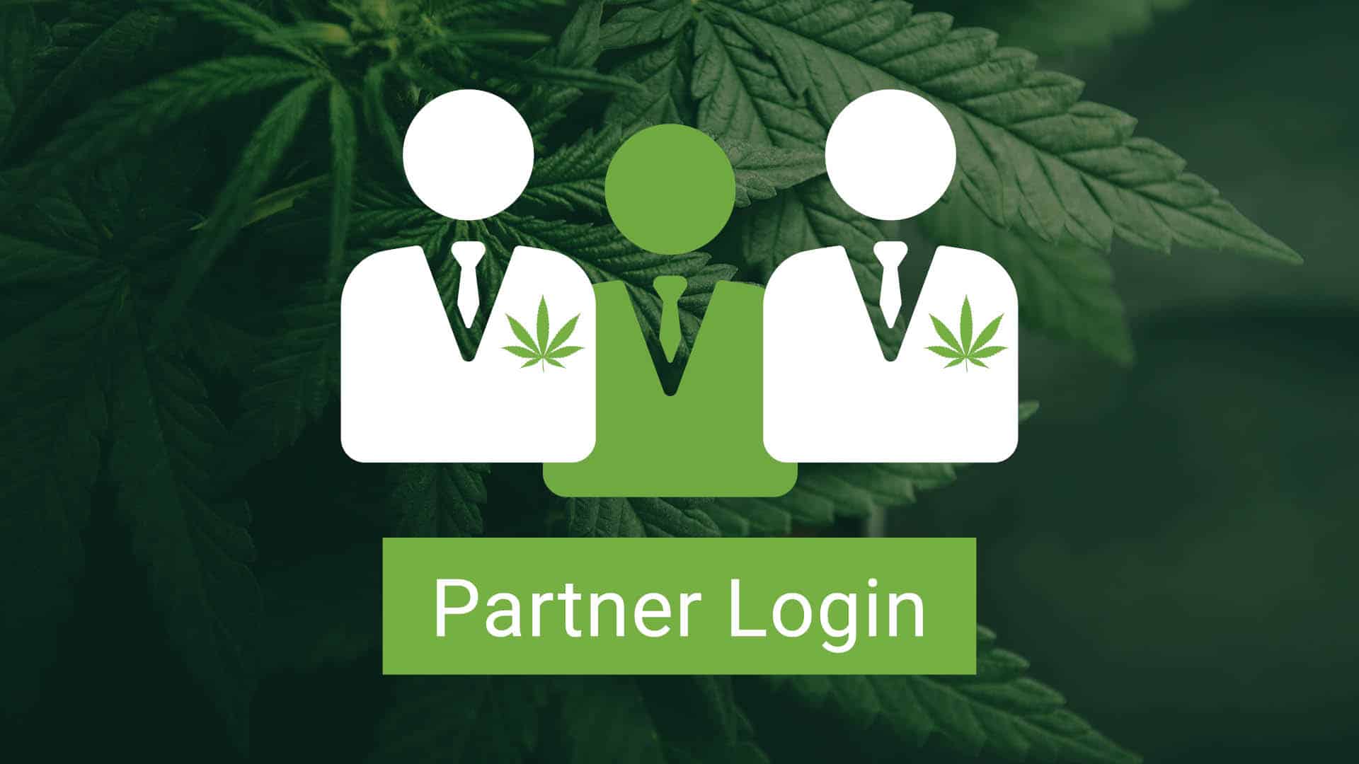 firstclass CBD - Top cannabis Qualität - hochwertig, schnelle lieferung