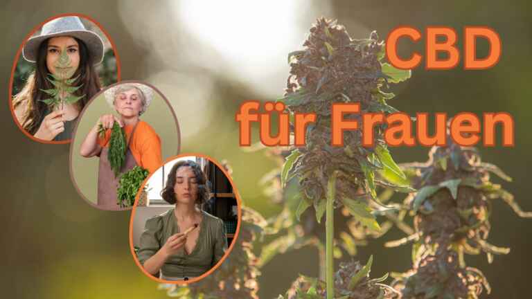 CBD für Frauen – Einordnung, Alltag & Hinweise – First Class CBD