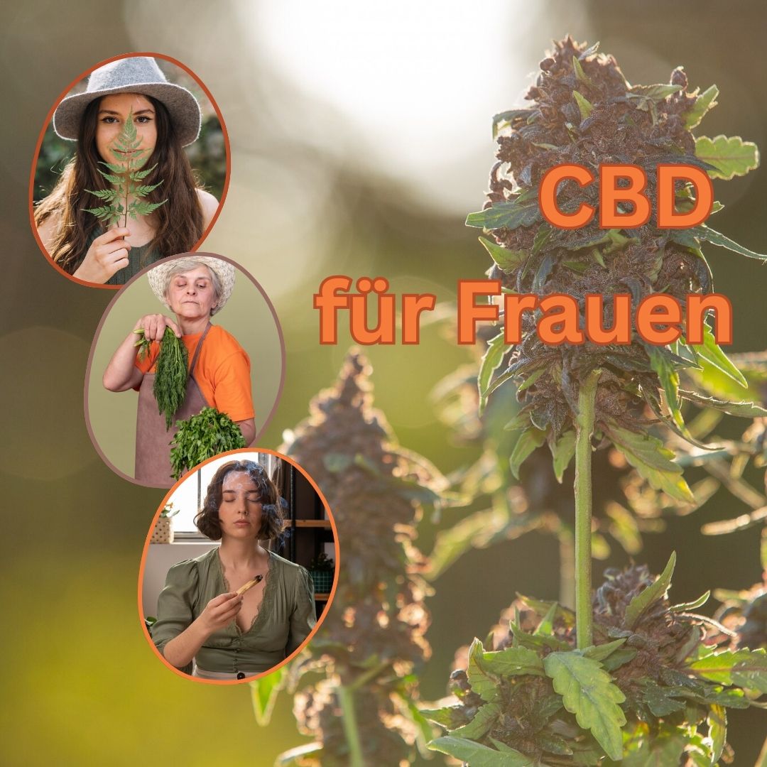 CBD für Frauen – Einordnung, Alltag & Hinweise – First Class CBD
